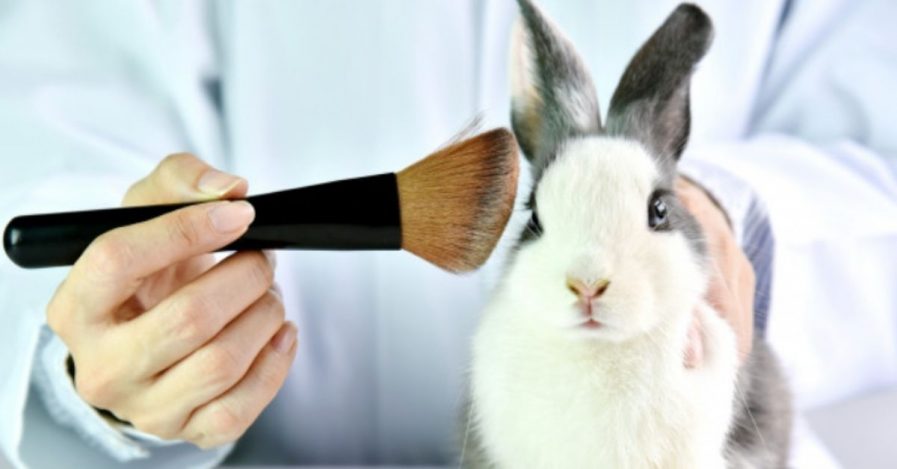 De producten van Purabianca zijn dierproefvrij! - Purabianca dierproefvrij